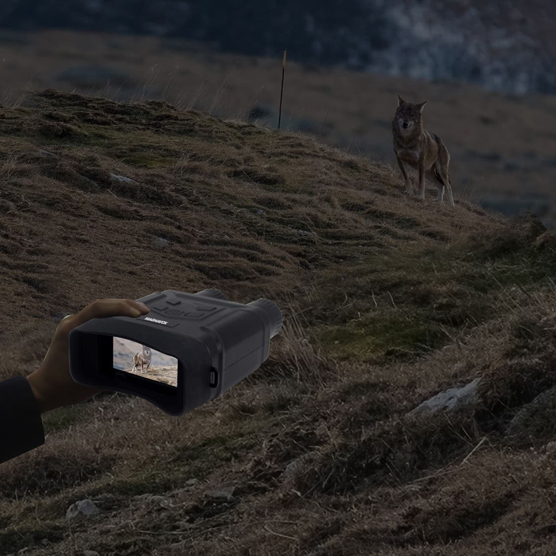 Magnavox Night Vision Color Camera | Stoneberry